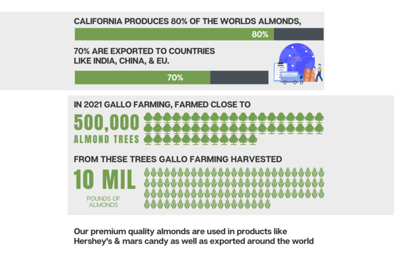 Our Story – GalloFarming